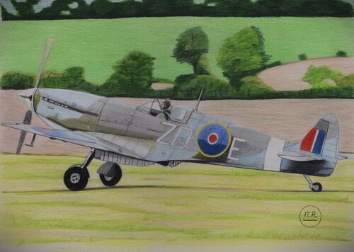 Spitfire. by Pierre Bayet (2024) : Drawing Pencil on Paper - balthasart
