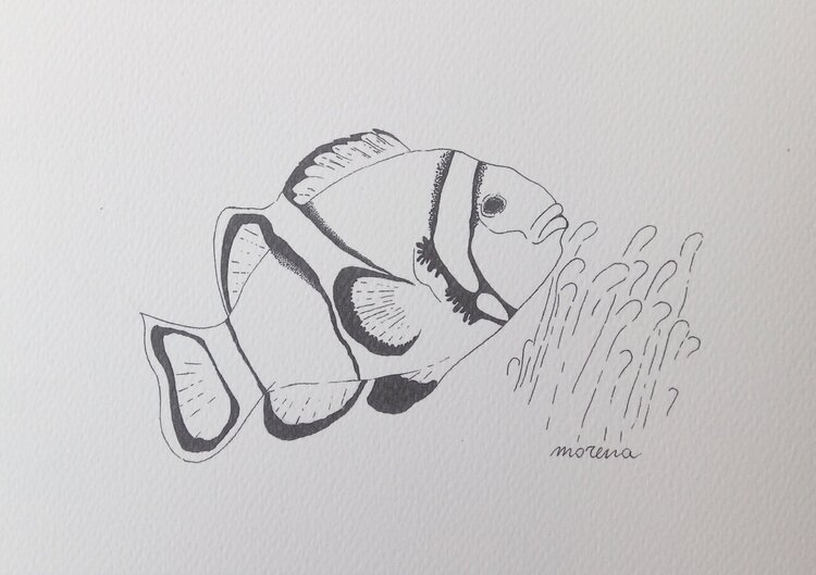 Nemo Fish Drawing